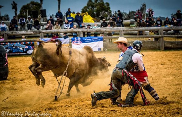 Double Barrel Entertainment | Double the excitement with Double Barrel ...