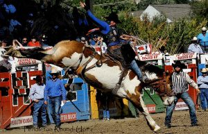 RODEO SCHOOL | Double Barrel Entertainment