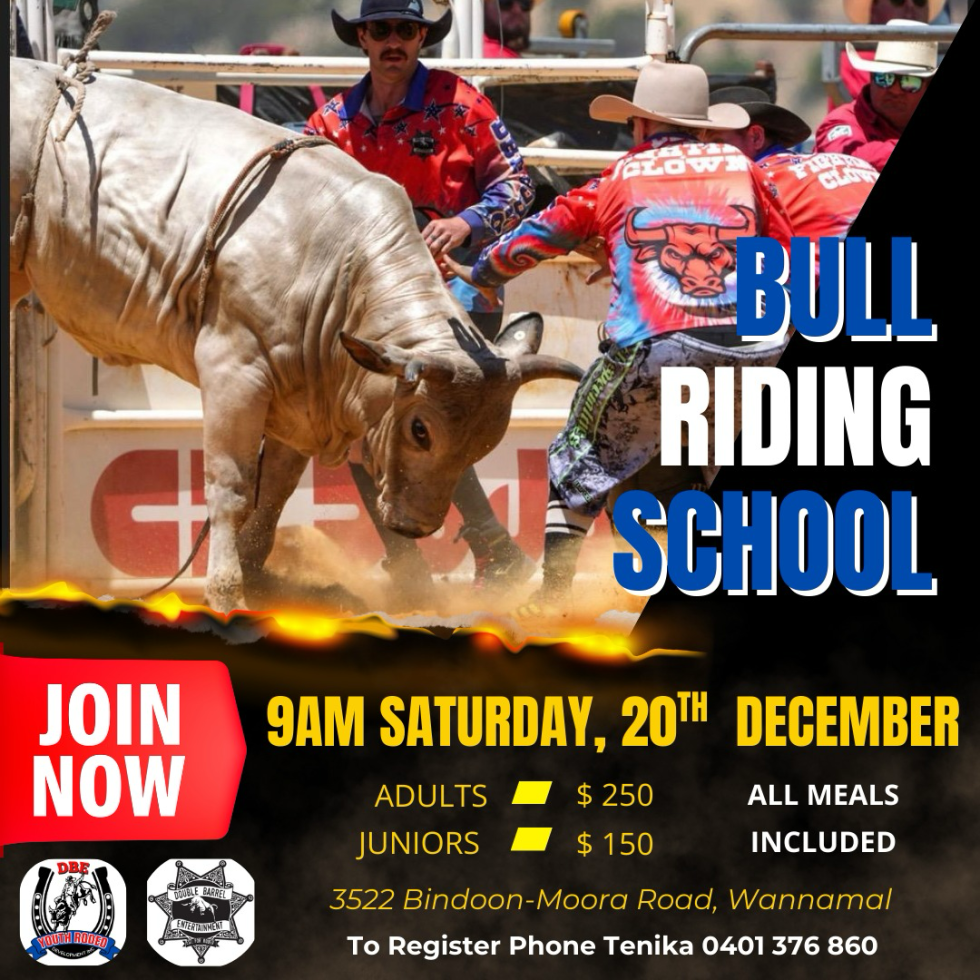 Bull Riding School | Double Barrel Entertainment